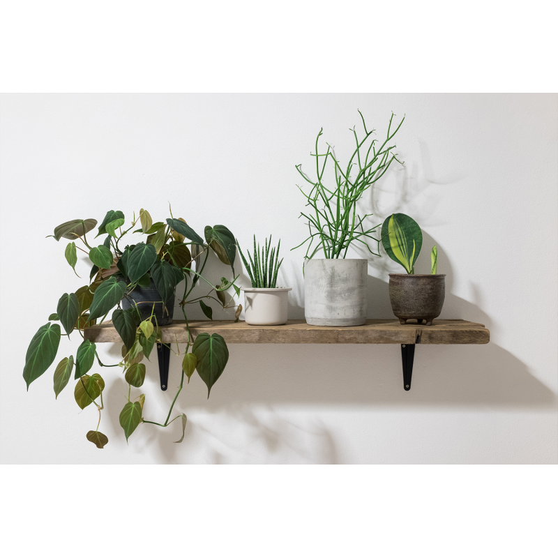 Cheville rapide HRM pour corps creux